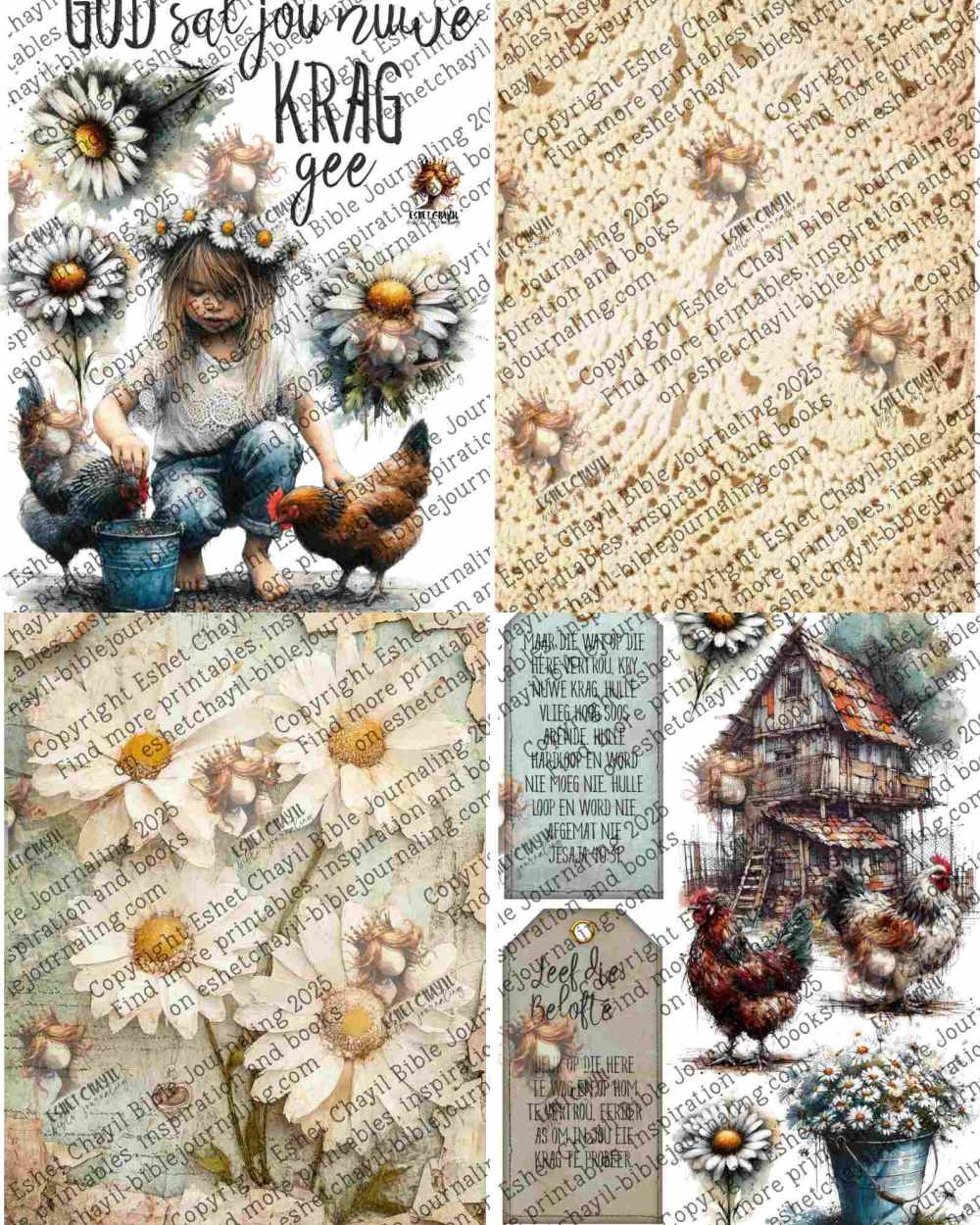 BELOFTES VAN GOD #2 - AFRIKAANS – Eshet Chayil Bible Journaling